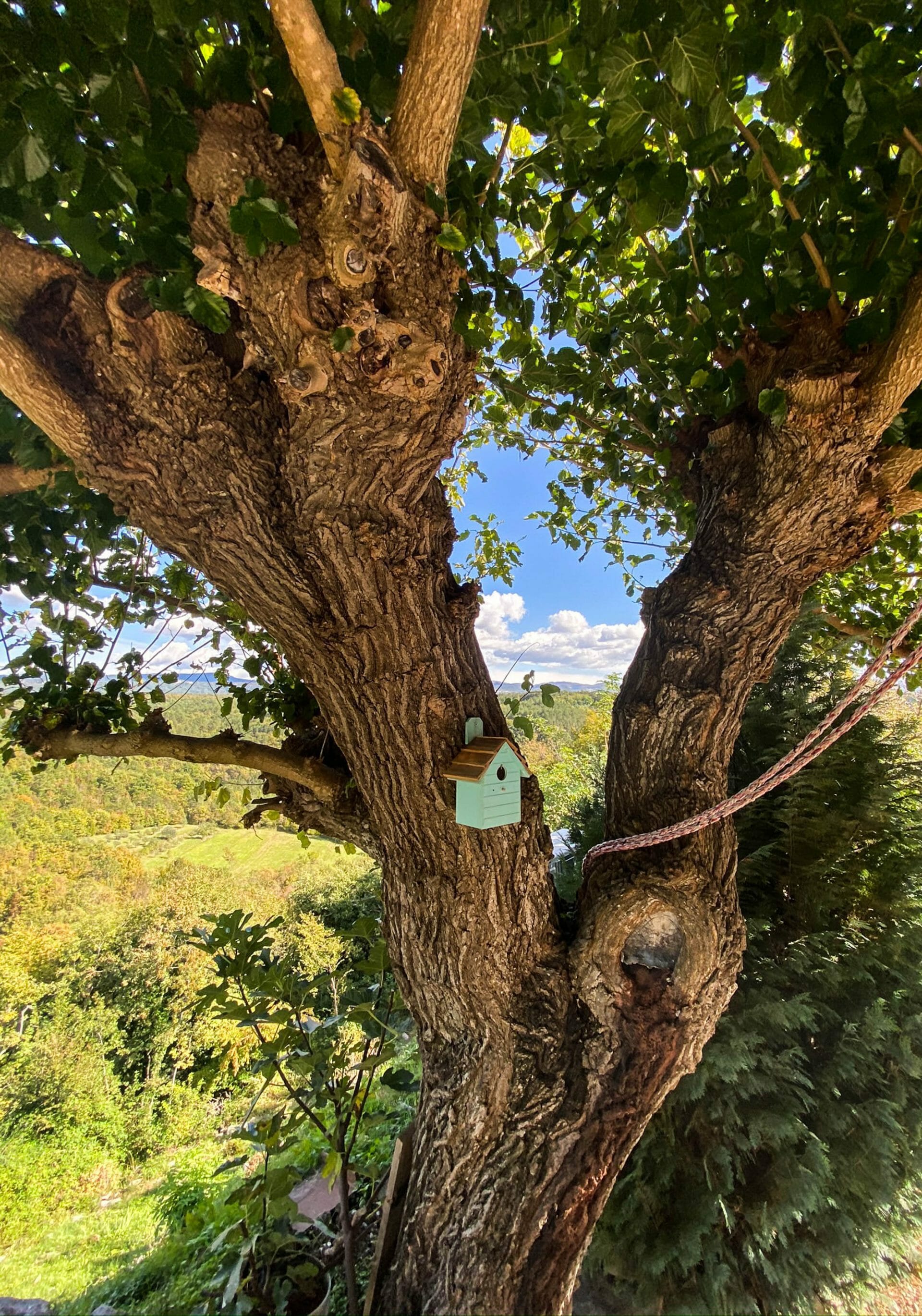 Hum Croatia: The Smallest of Treasures - Wanderers Compass Travel Blog