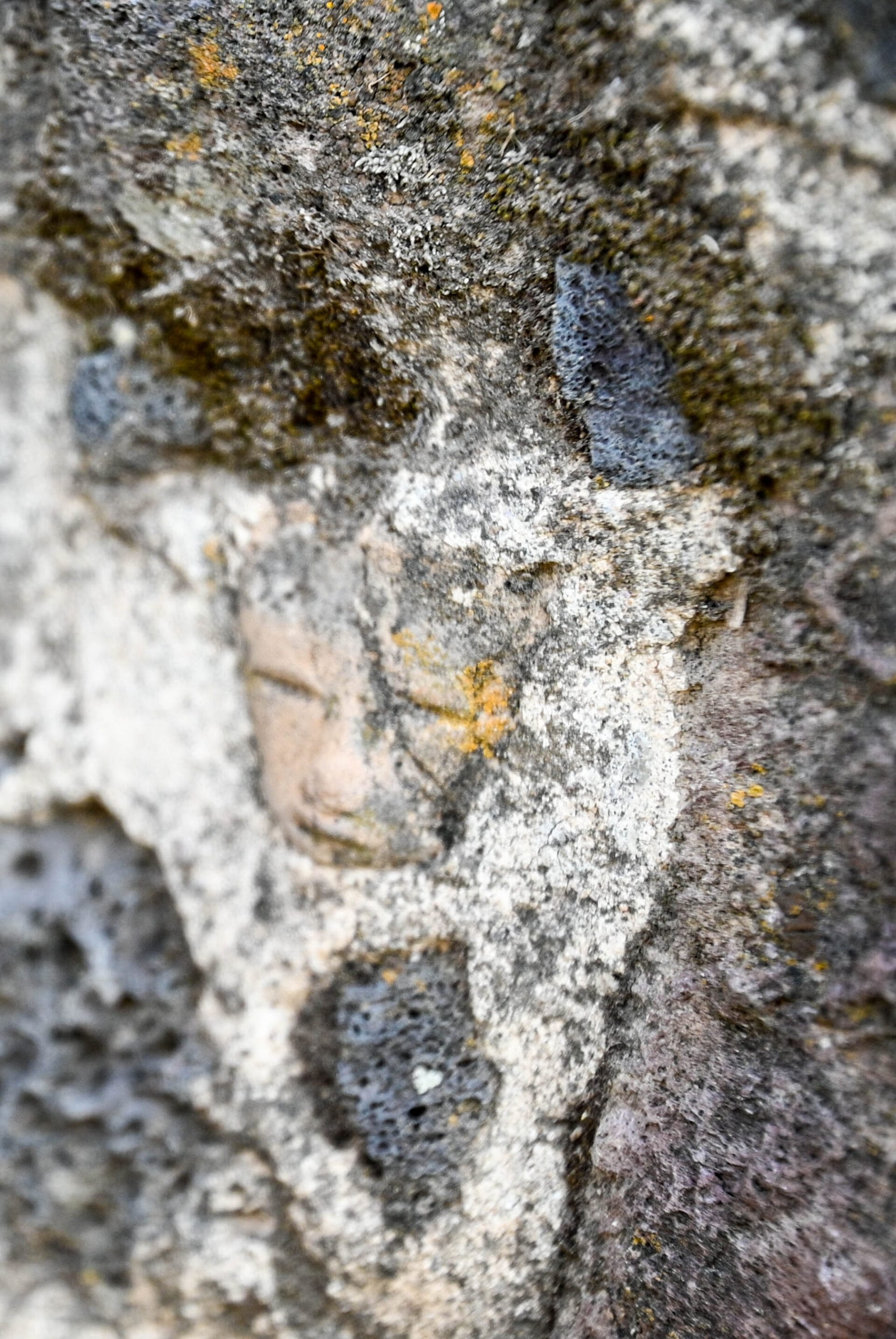 A Captivating Journey through Mexico City - Wanderers Compass