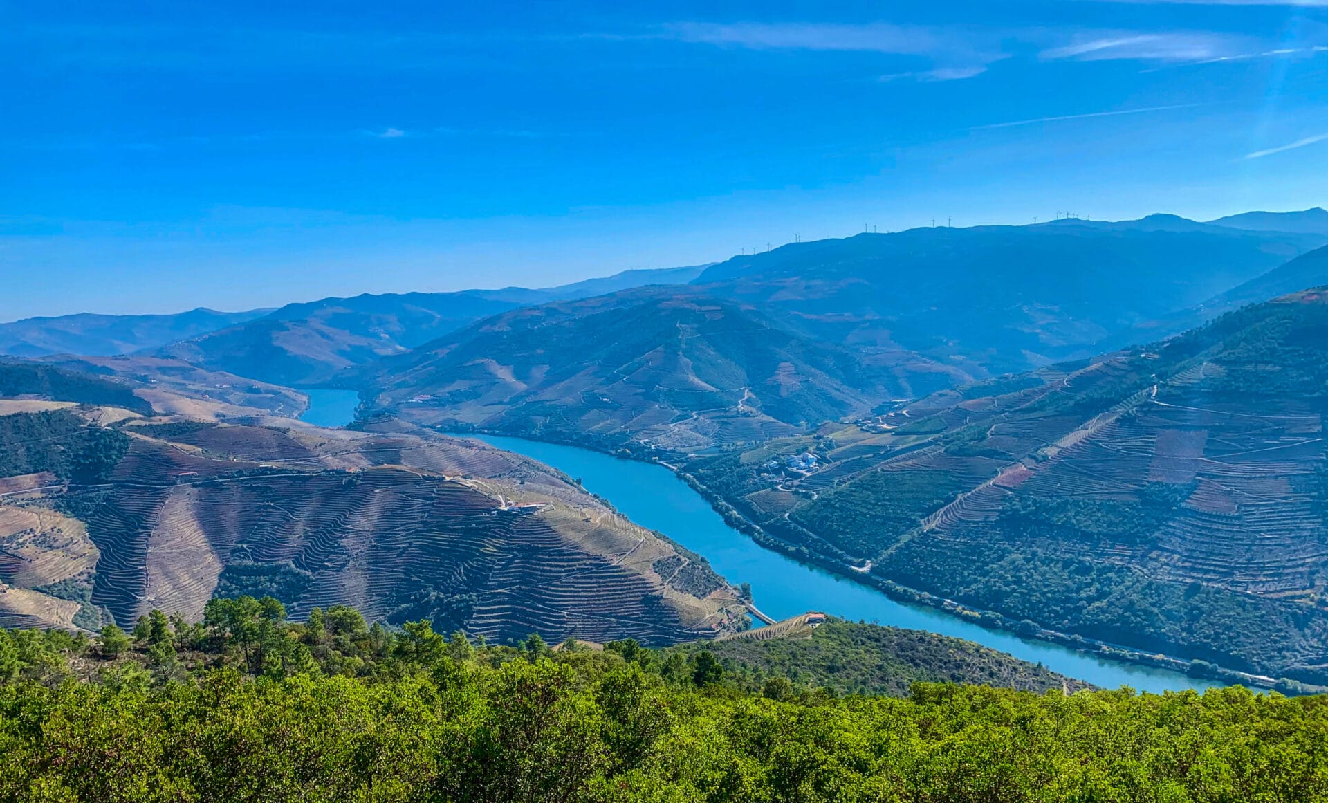Douro Valley – The Oldest & Most Beautiful Wine Region in the World