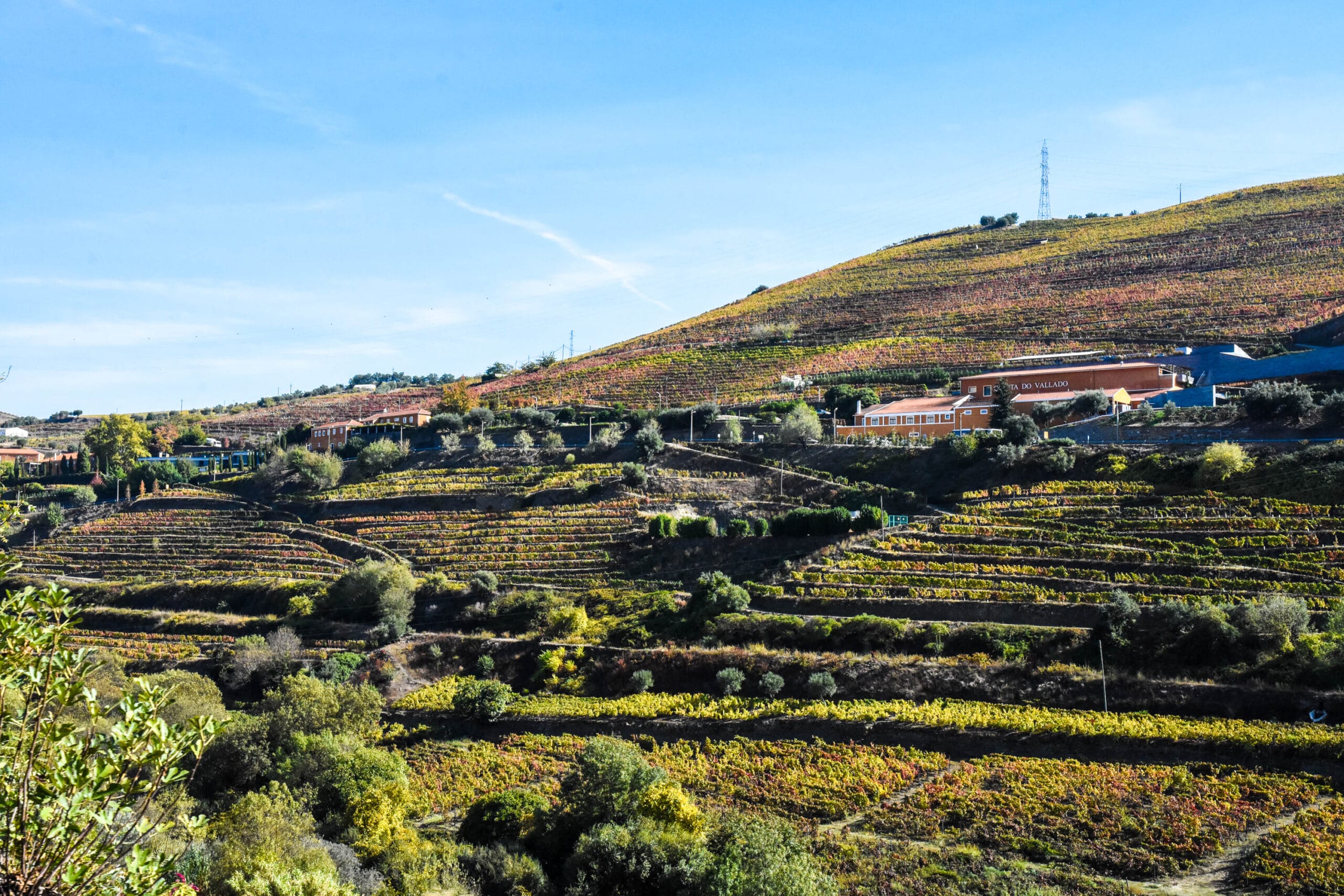 Douro Valley: Discover the Rich History and Culture